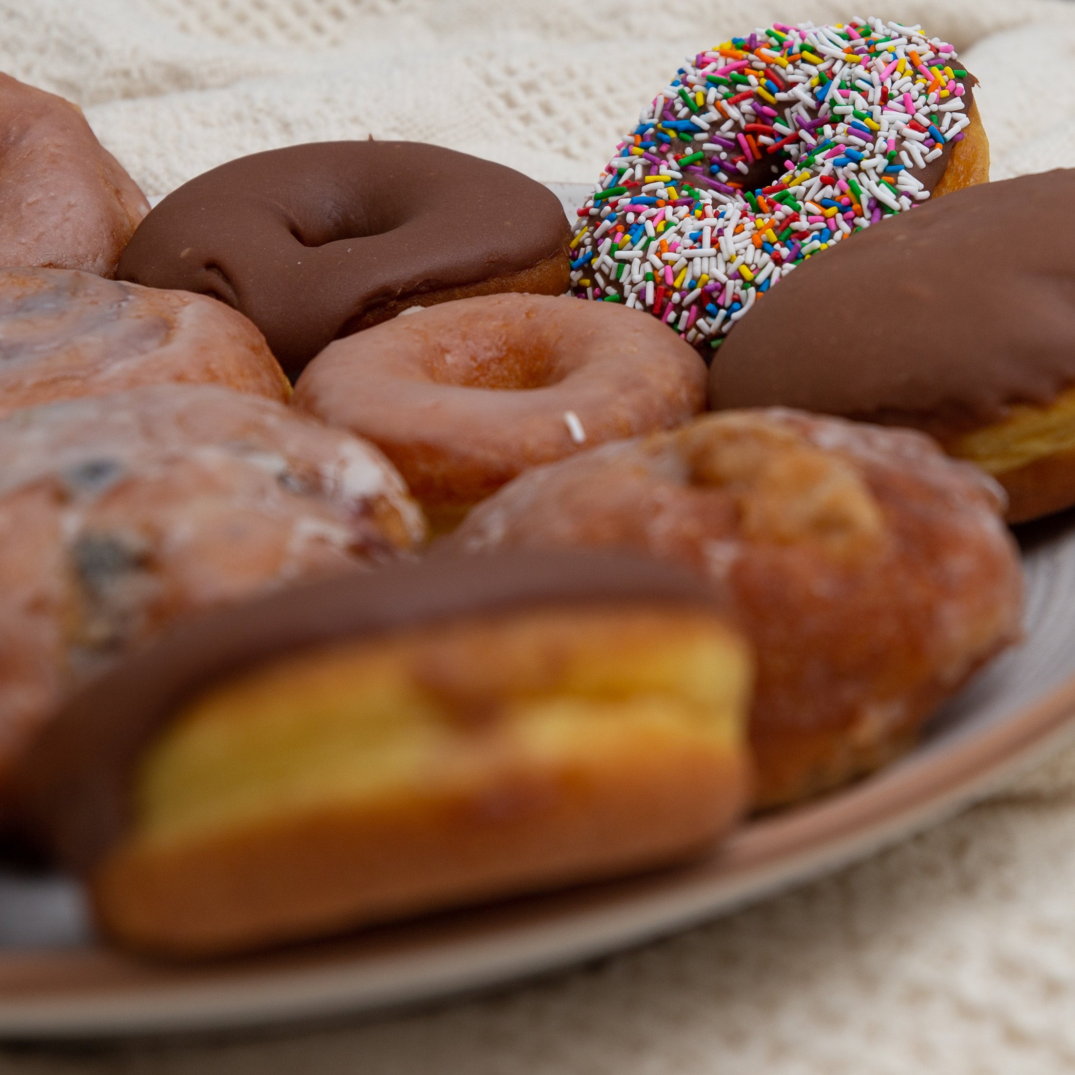 Donuts 1/2dz | Spicer's Bakery